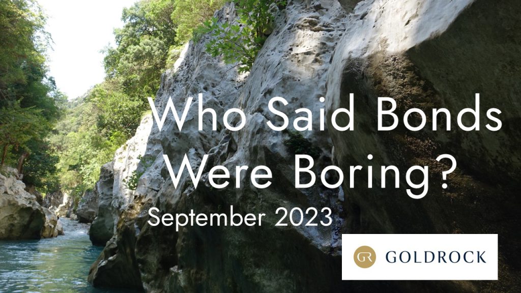 Who said bonds were boring? – Goldrock
